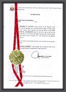 CURRENT TRANSFORMER MANUFACTURER - heyi